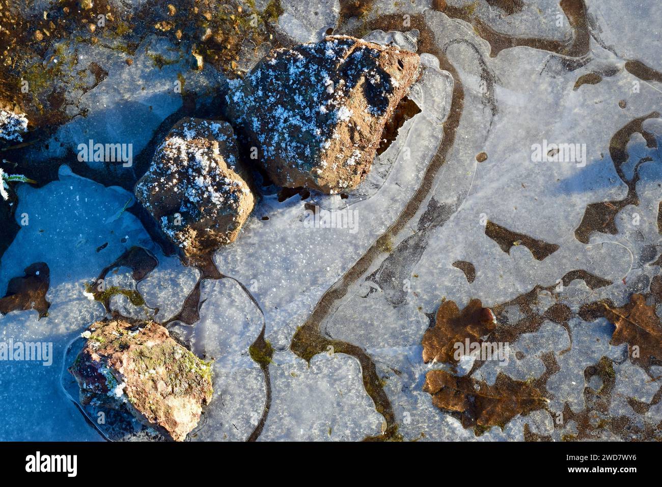Winter Ground Frost Background Texture, Crystal Frozen ice Covered ...