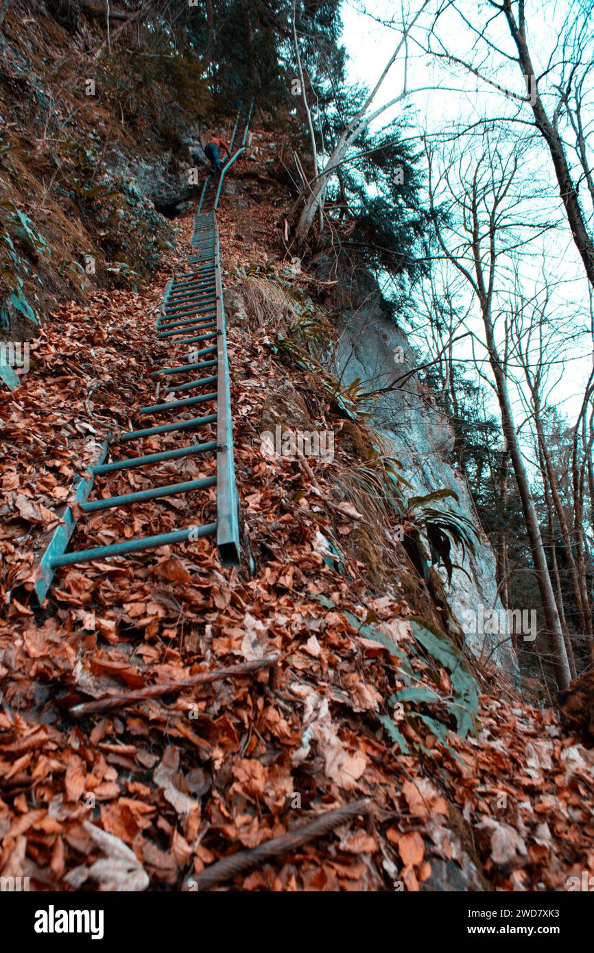 Giant ladder on the Leiternweg at Hohenems, Vorarlberg, via ferrata ...