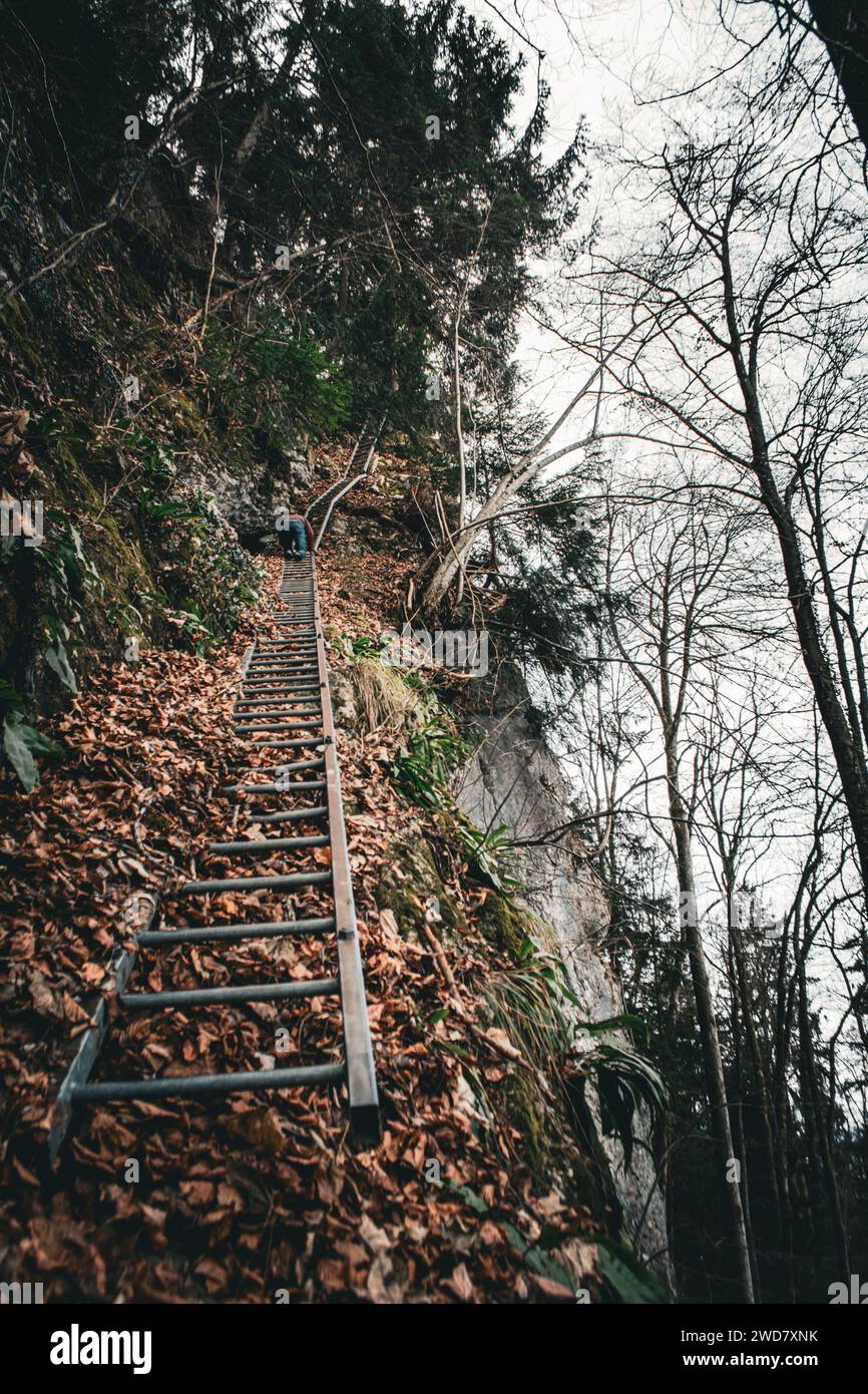 Giant ladder on the Leiternweg at Hohenems, Vorarlberg, via ferrata ...
