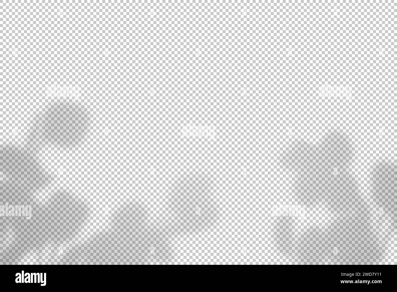 Flower shadow. Reflecting shades palm plants isolated on transparant ...