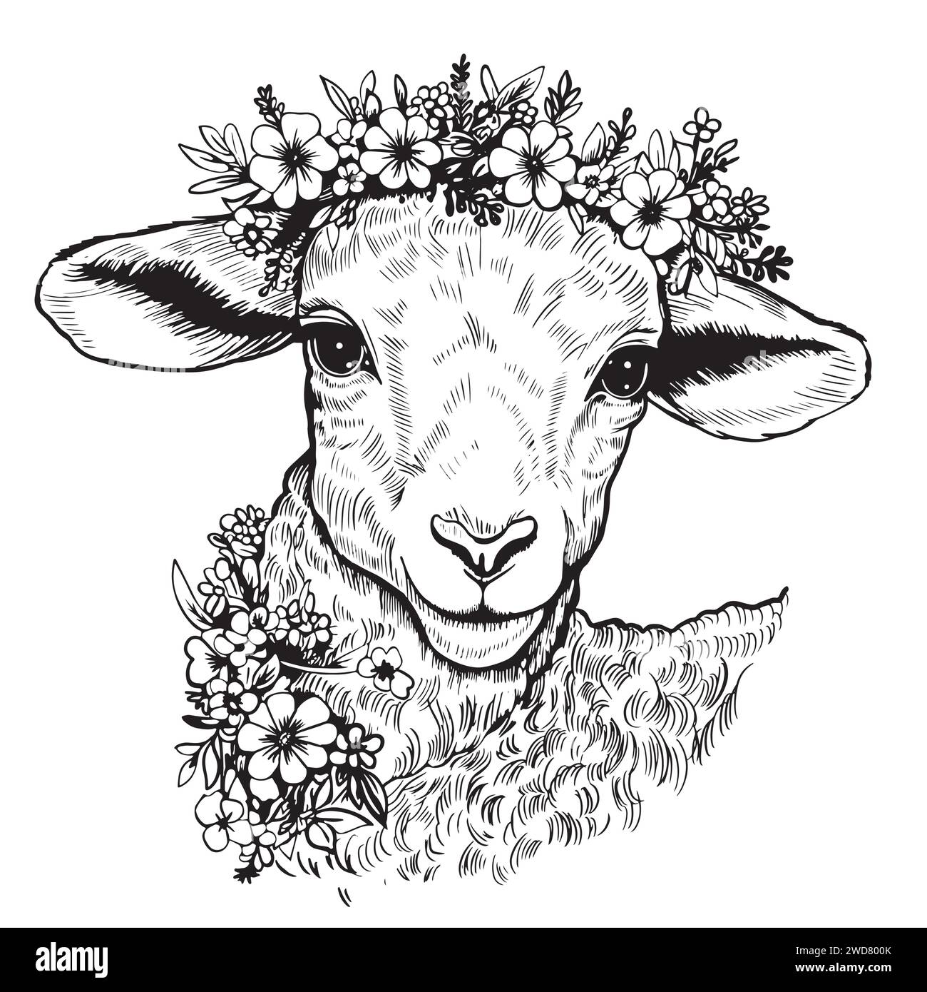 Cute sheep or lamb head engraving style vector illustration. Realistic image Stock Vector Image ...
