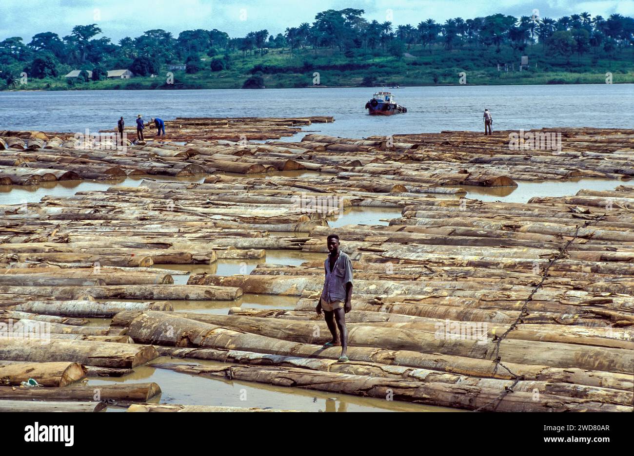 Ivory Coast, Abidjan; Logs of wood in the Banco Bay waiting for ...