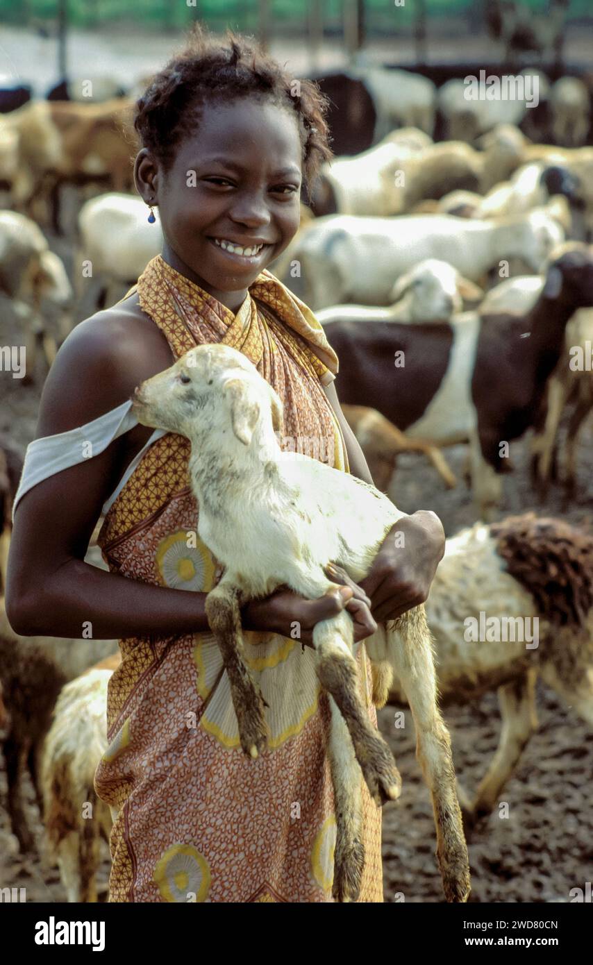 Ivory Coast, Divo; Portrait of a girl and a herd of goats. Letting the ...