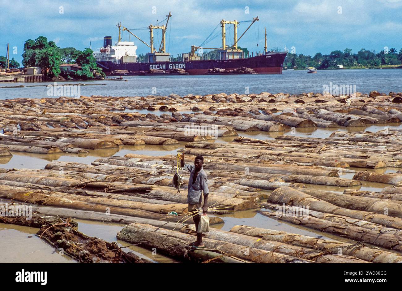 Ivory Coast, Abidjan; Fisher has caught a fish between the logs of wood ...