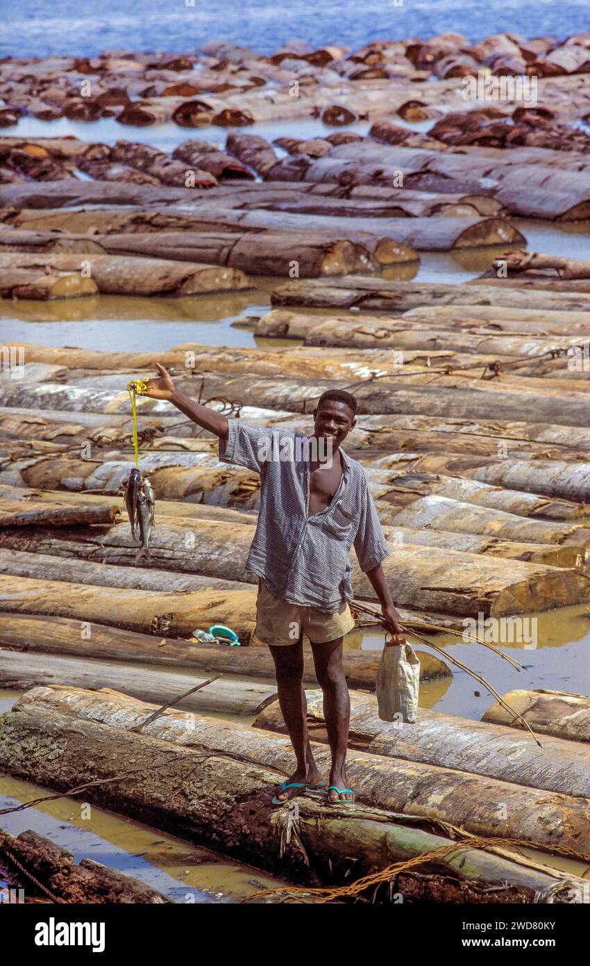 Ivory Coast, Abidjan; Fisher has caught a fish between the logs of wood ...