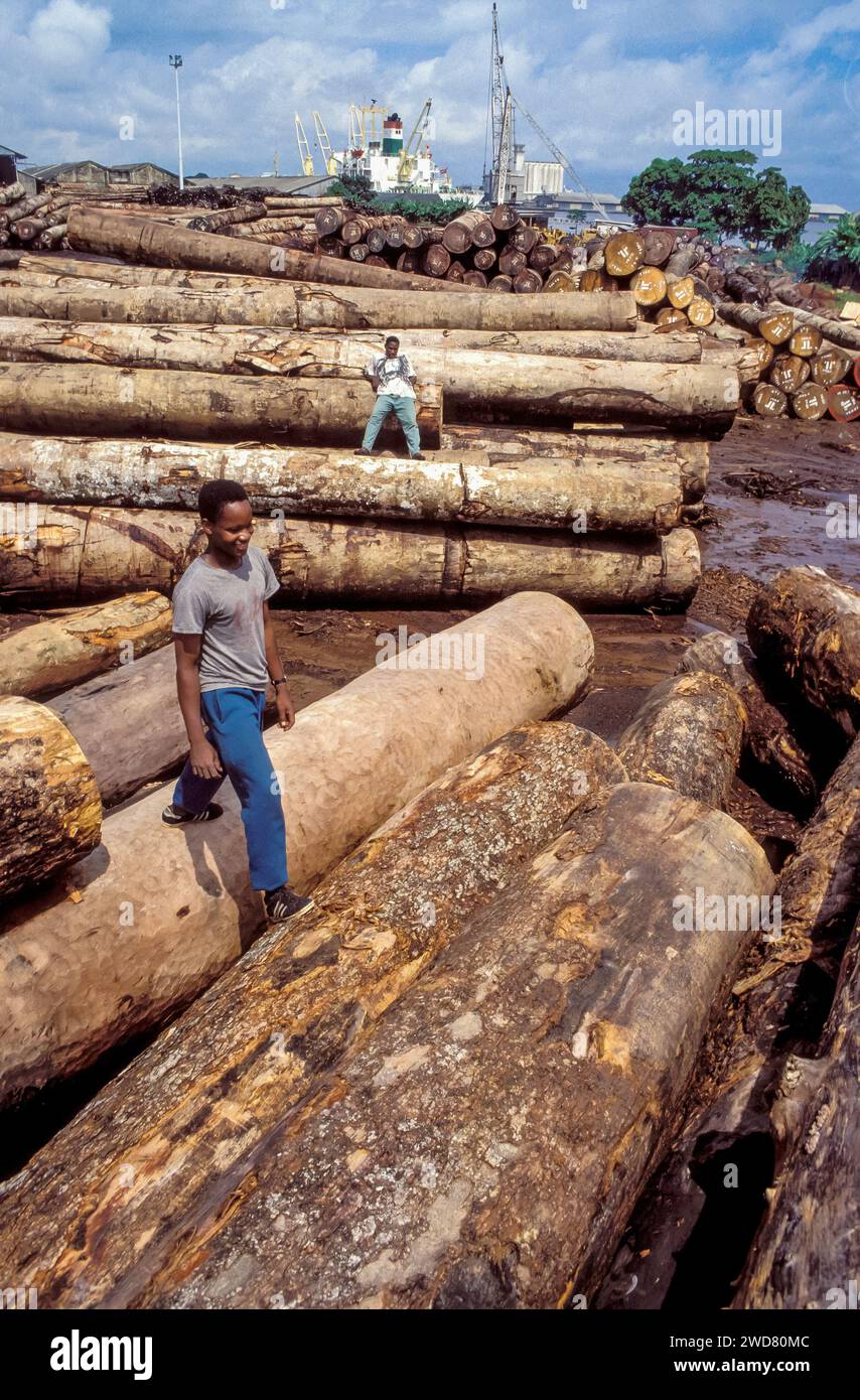 Logs on a river africa hi-res stock photography and images - Alamy