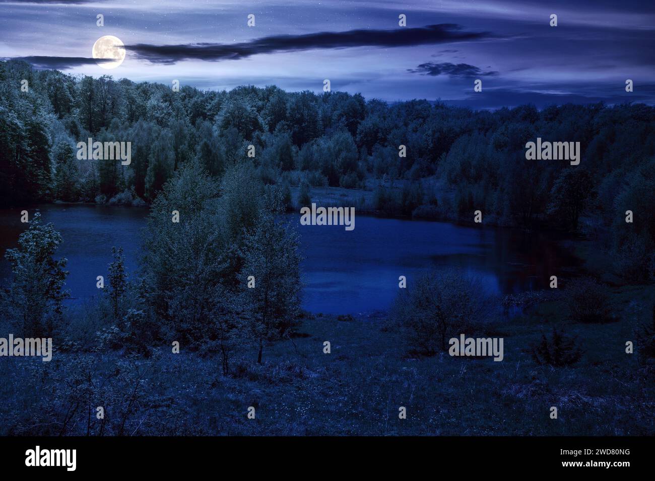 lake among the forest on the hill at night in summer. fantasy nature ...