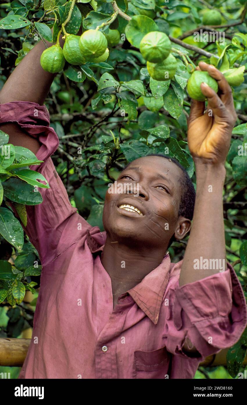 Ivory Coast, Divo; Immigrant from Burkina Faso, of the mossi tribe ...
