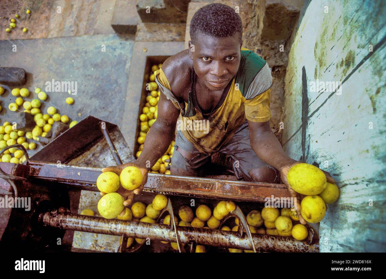 Top view factory worker putting hi-res stock photography and images - Alamy