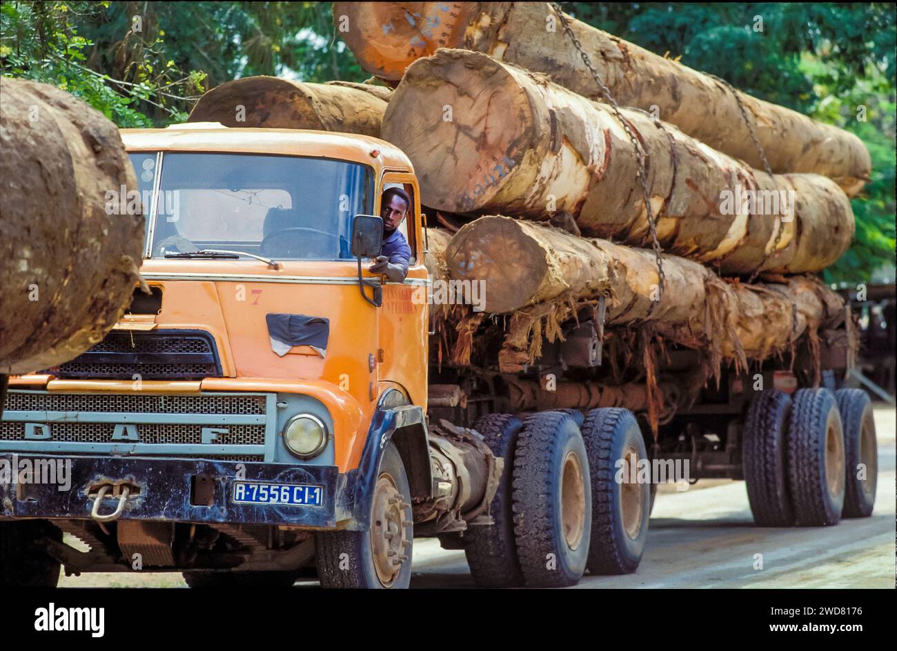 Ivory Coast, Abidjan; Truck transporting hardwood logs to the harbour ...