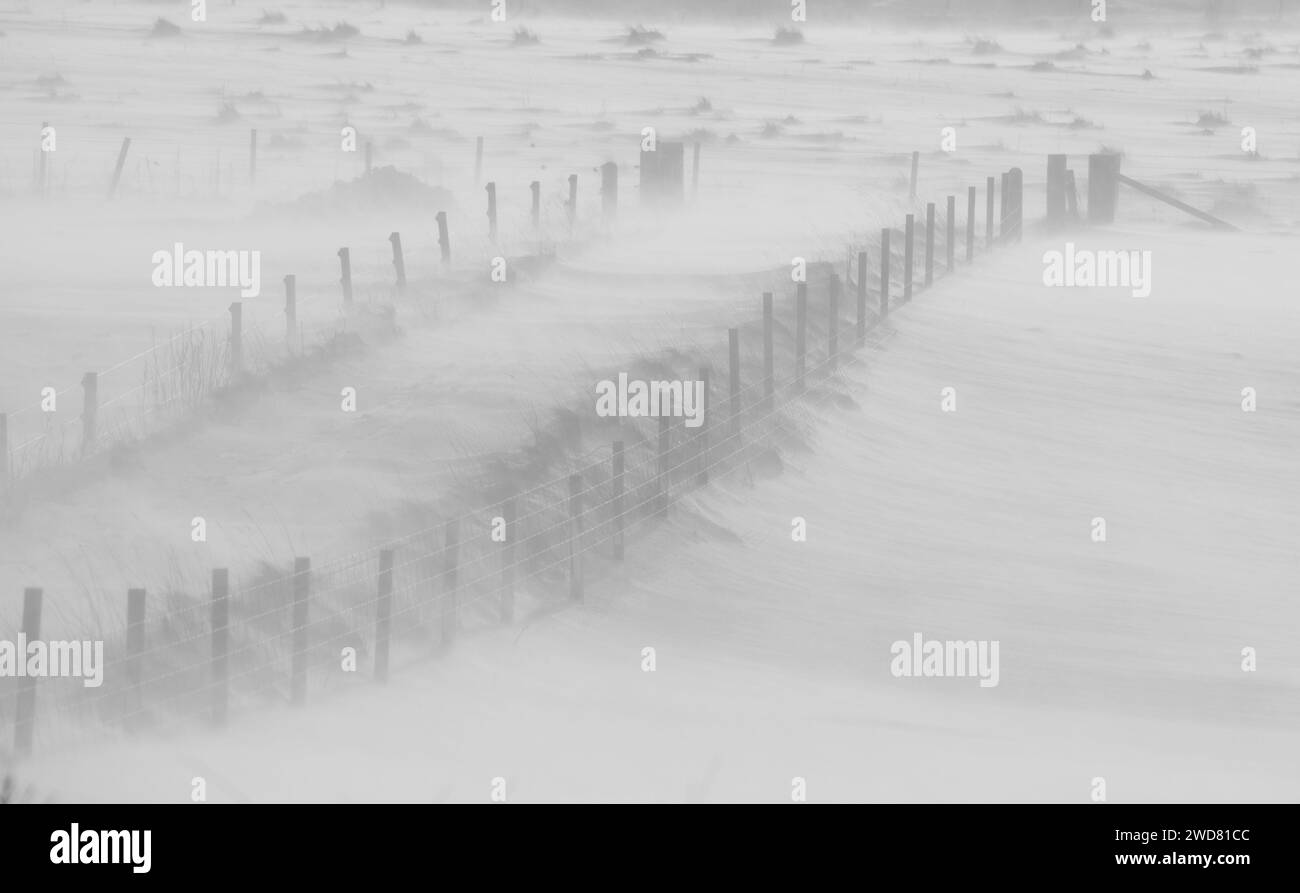 January winter uk Black and White Stock Photos & Images - Alamy