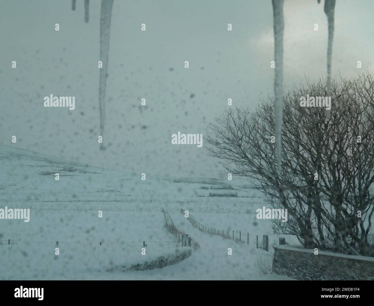 Weather january 2024 hi-res stock photography and images - Alamy