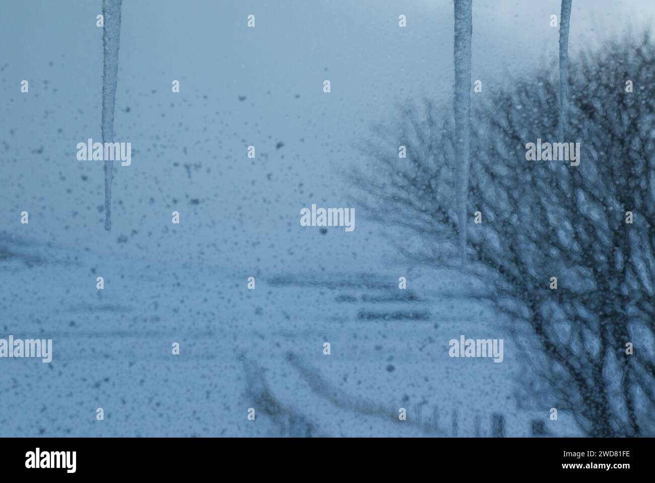 Icicles through a window, Orkney, January 2024 Stock Photo - Alamy