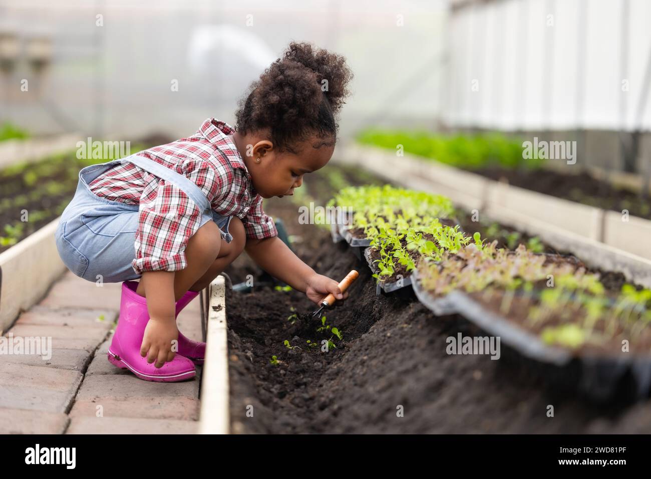 African black child playing planting the green tree gardening in ...