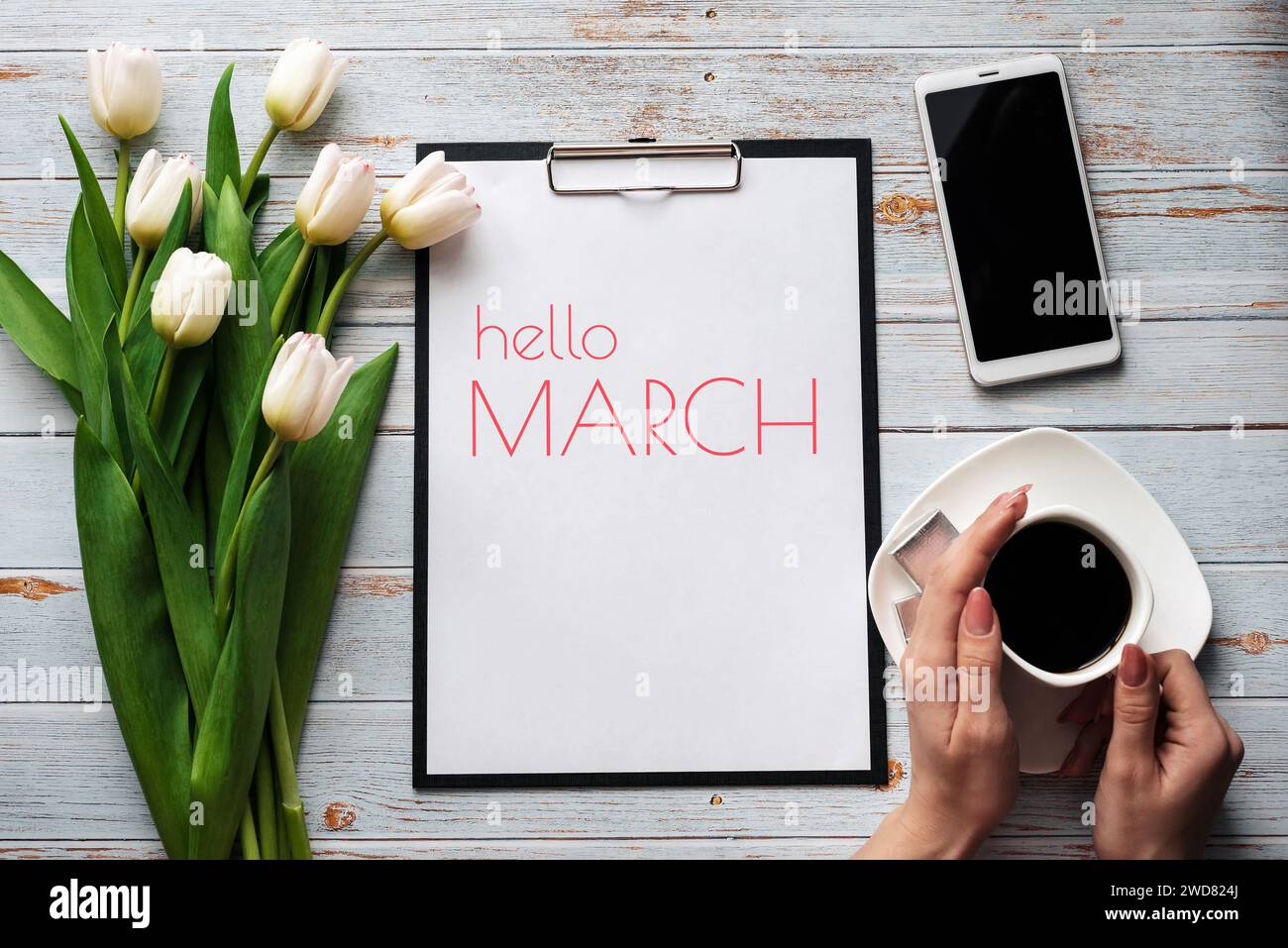 Greeting card with the inscription Hello March. Bouquet of white Tulip ...