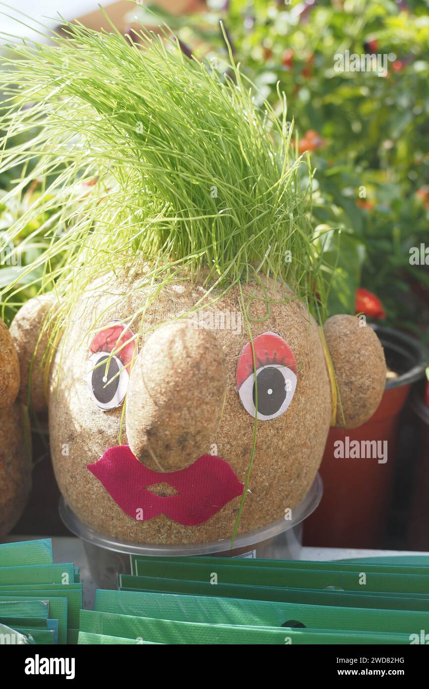 Handmade doll for growing grass seeds as hairs. Child education Stock ...