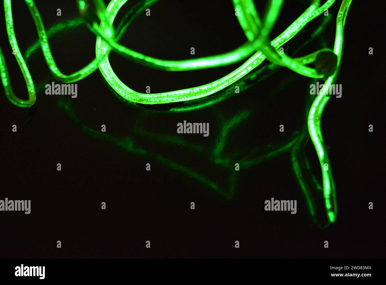 Woven filaments, toxic green cable, wires with outgoing light. Neon ...