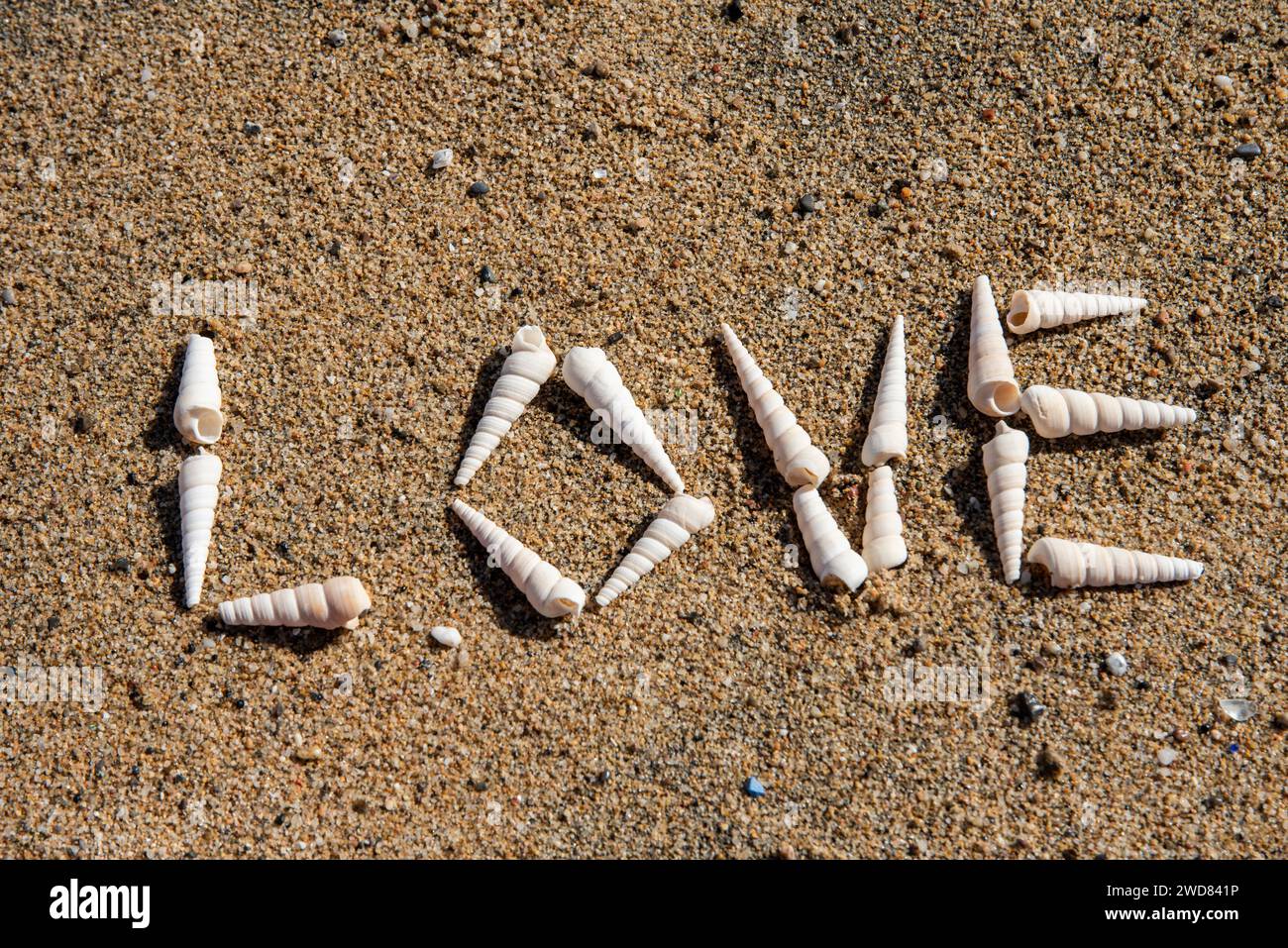 Seashell script hi-res stock photography and images - Alamy