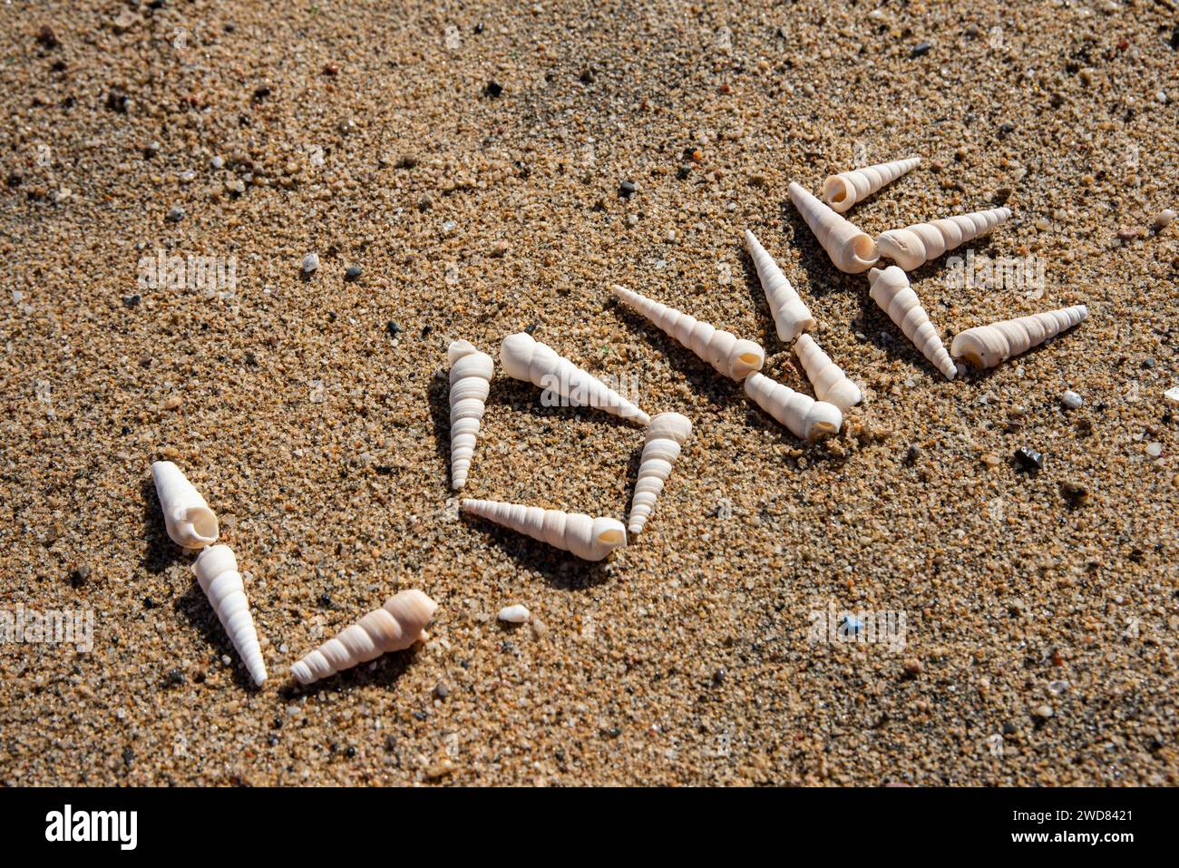 Love shells hi-res stock photography and images - Alamy