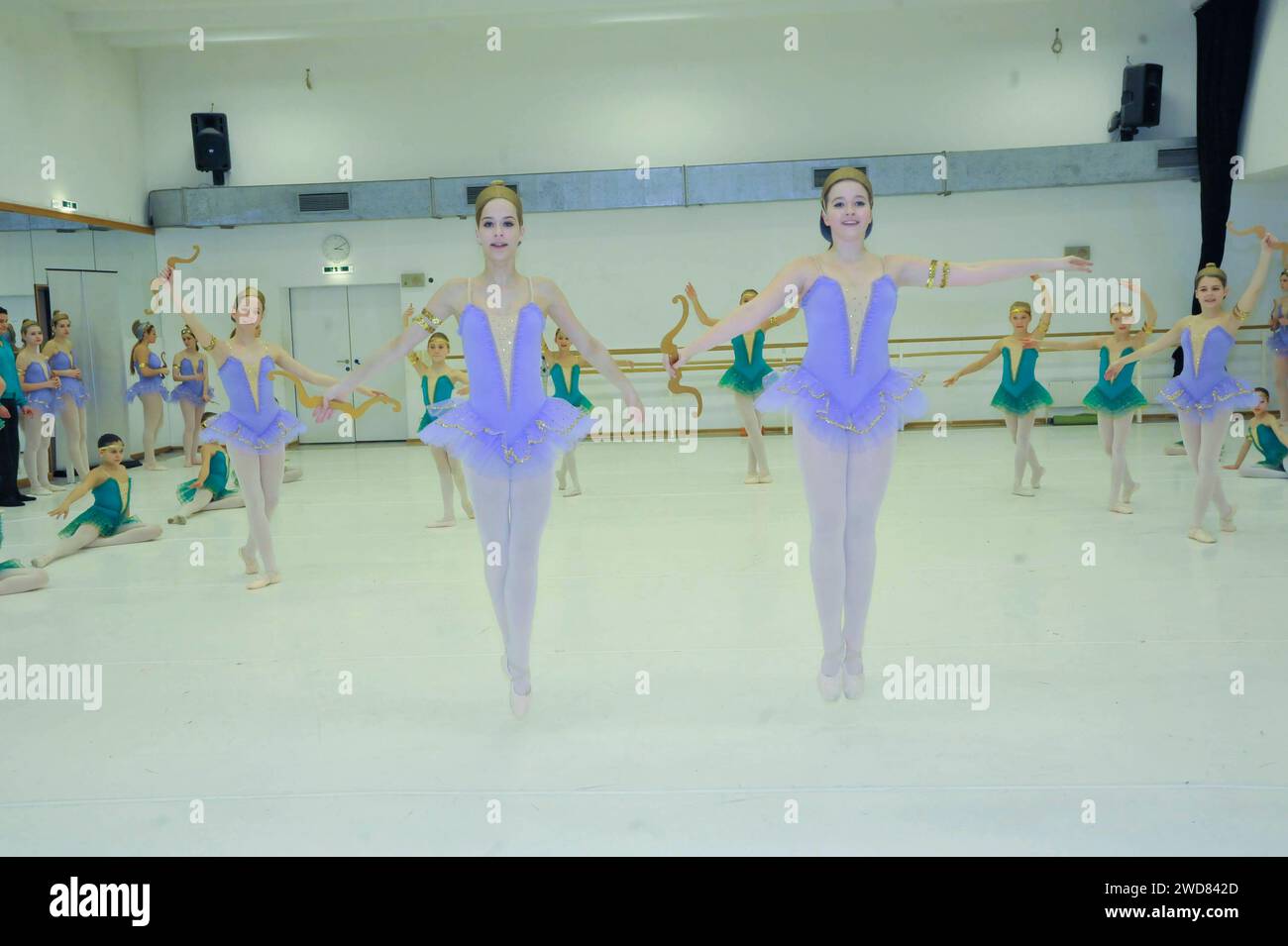 dance is one of the oldest cultural forms in the world the dance as a ...