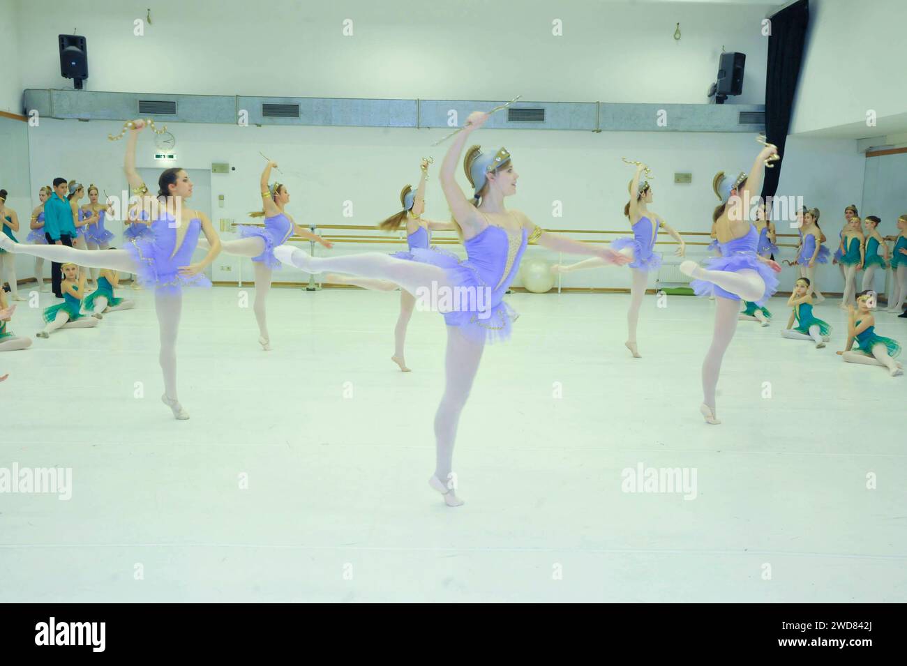 dance is one of the oldest cultural forms in the world the dance as a ...