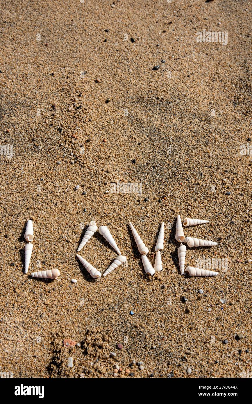 Love whispers in seashell serenade: Coastal romance scripted with white ...