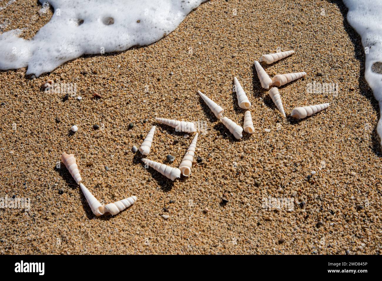Love in the surf: 'Love' crafted from white seashells, embraced by ...