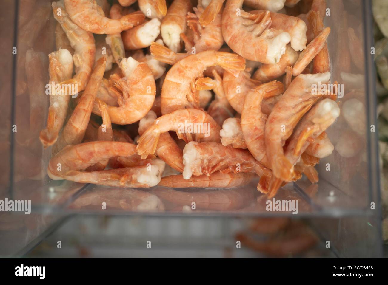 Selling shrimp. Shrimp in a container. Seafood at the market. Meal ...