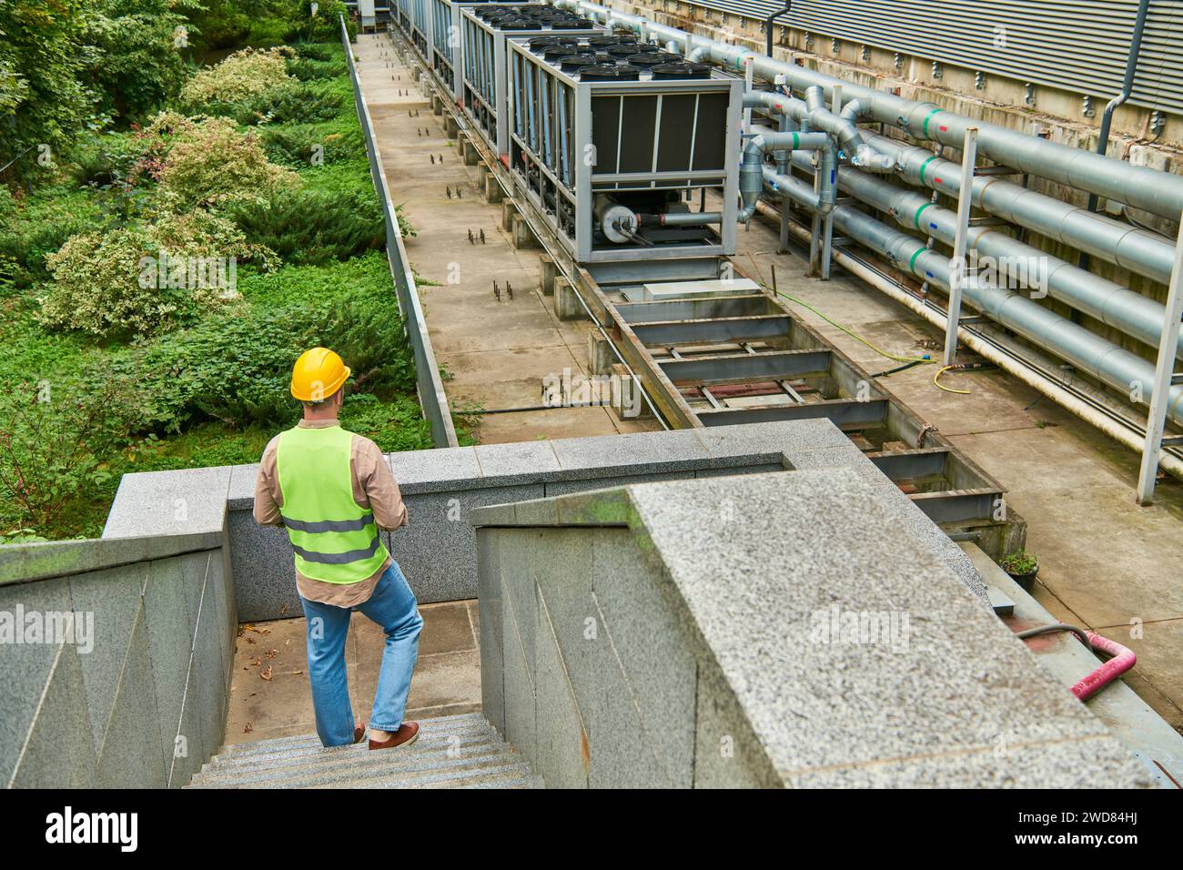 back view of dedicated professional in helmet and safety vest standing ...