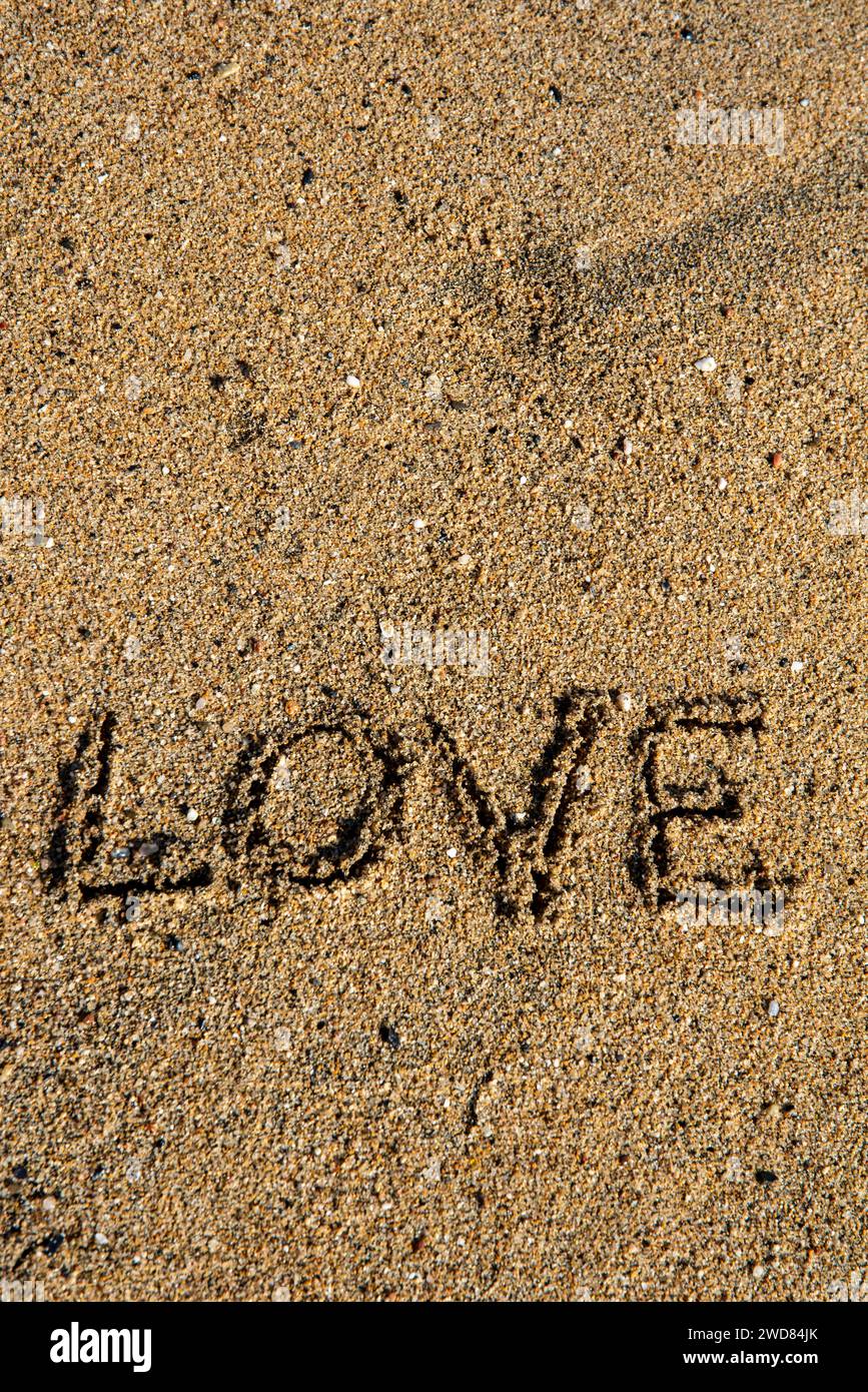 Love etched in the sands of serenity, a tranquil beach moment capturing ...