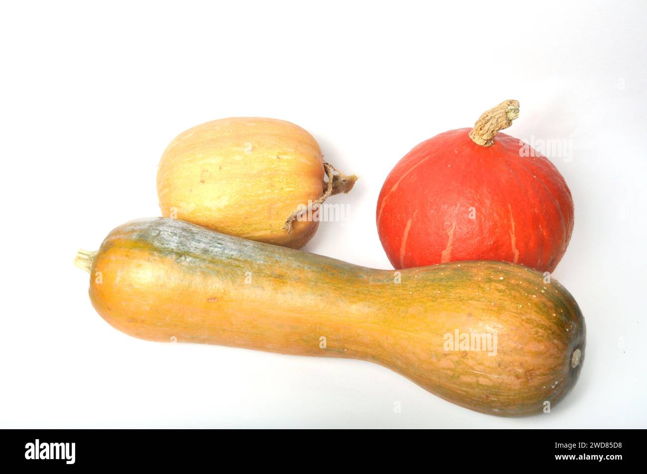 Nice long squash hi-res stock photography and images - Alamy