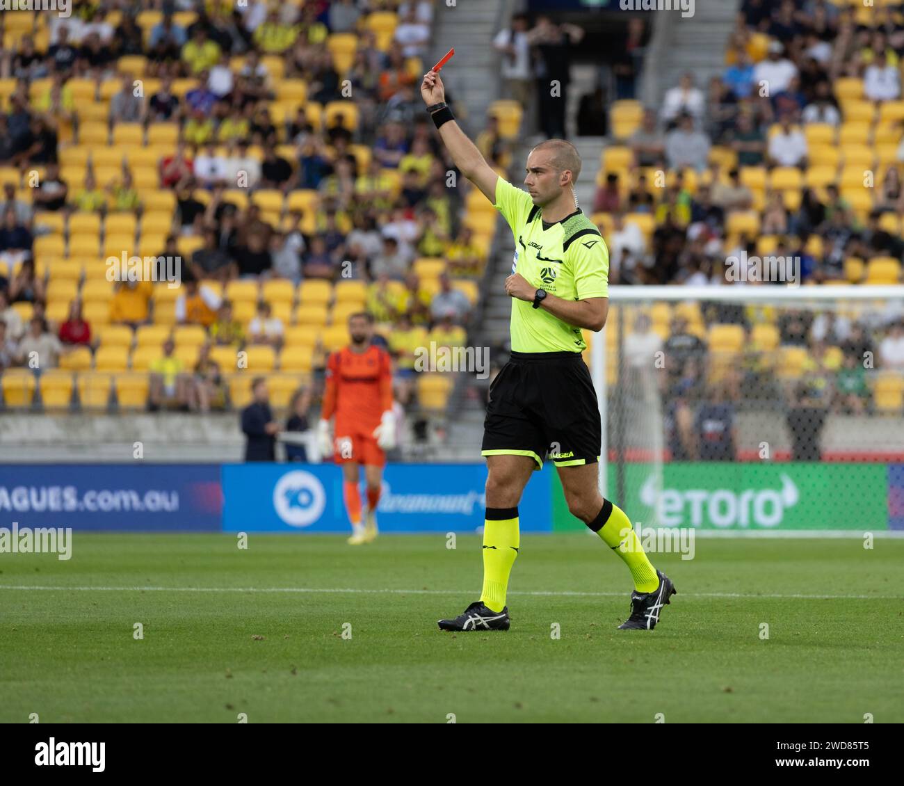 Tim payne wellington phoenix hi-res stock photography and images - Alamy