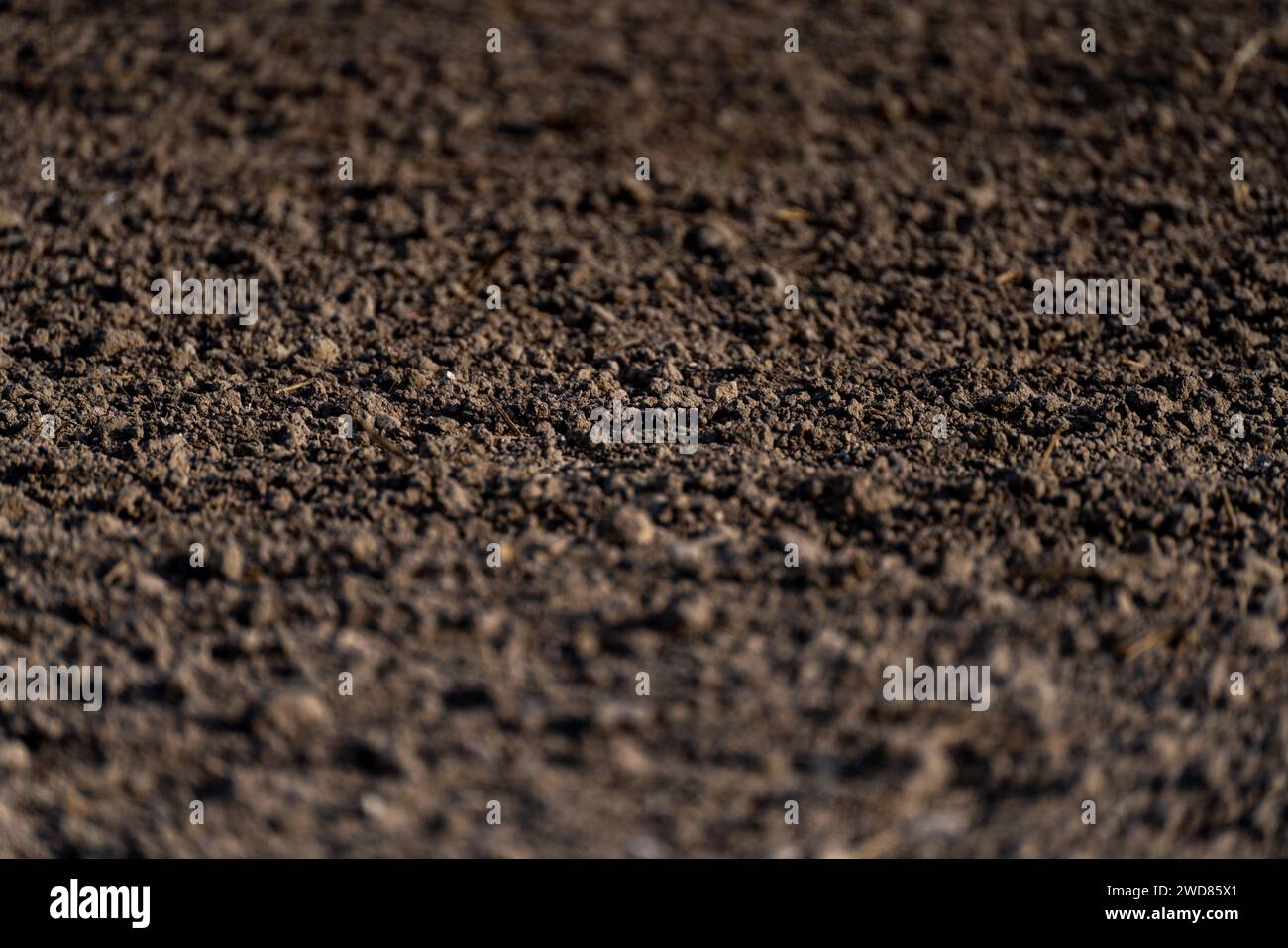 Soil texture background. Fertile soil suitable for planting. Plowed ...