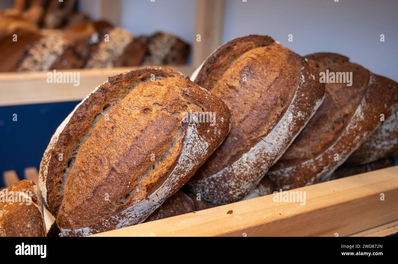 French artisan bakery in Bordeaux, rye and wheat bread and baguettes ...