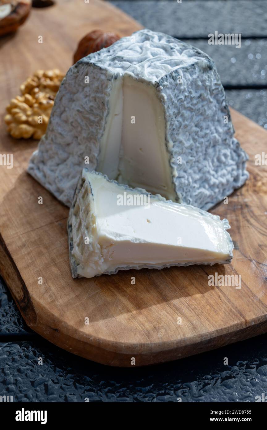 Cheese collection, French Valencay with black mold pyramid cheese made ...