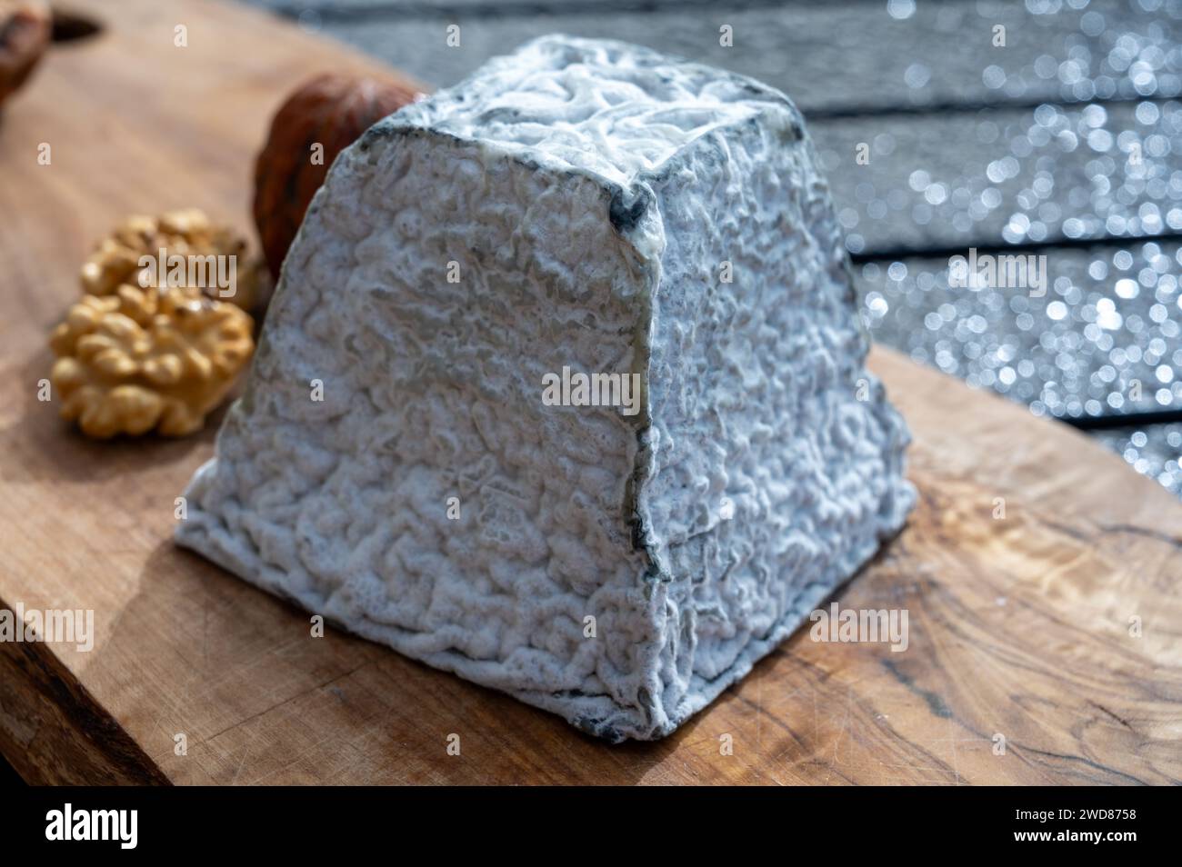 Cheese collection, French Valencay with black mold pyramid cheese made ...
