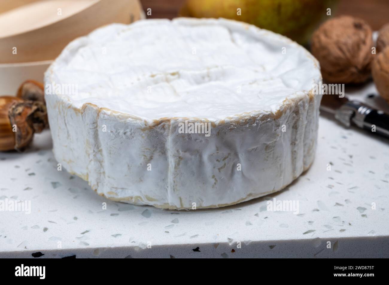 French soft Camembert cheese, original Camembert de Normandie, close up ...
