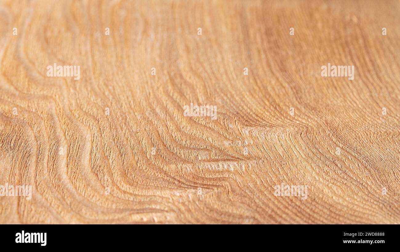 Detailed natural textures hi-res stock photography and images - Alamy