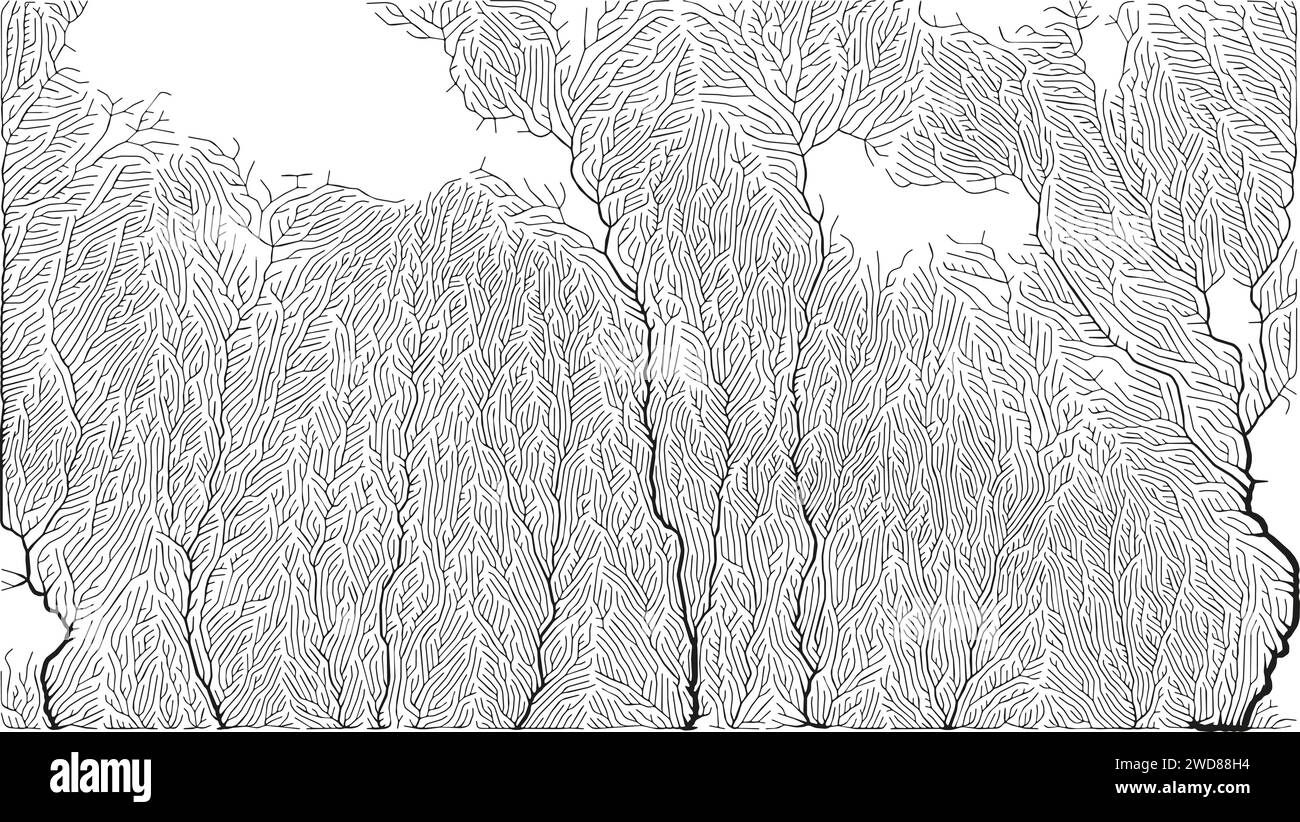 Growth Pattern Generative Branching Structure Organic Net Of Vessels Texture Stock Vector