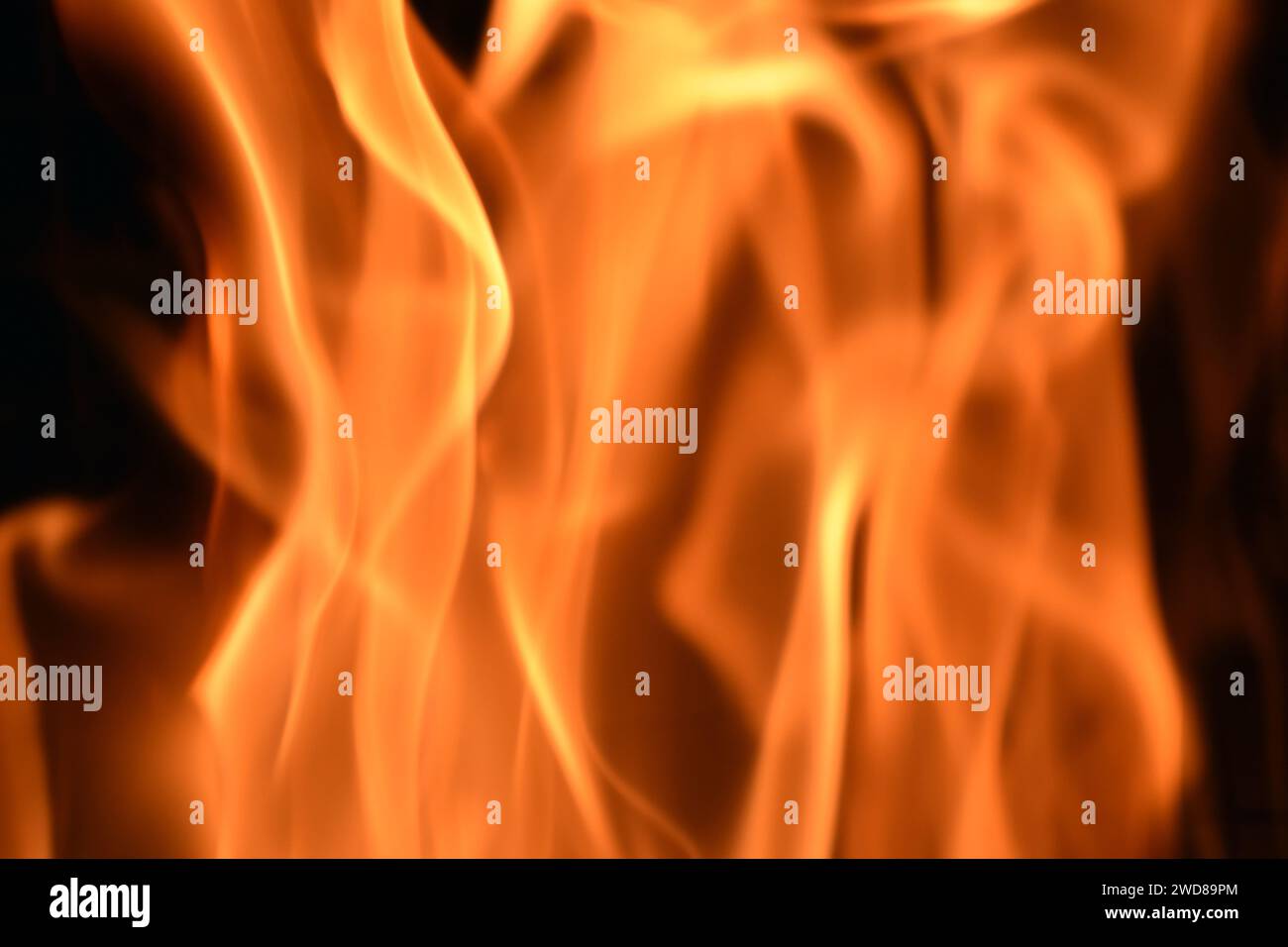 Flames of fire, the rapid oxidation of fuel, releasing heat, light ...