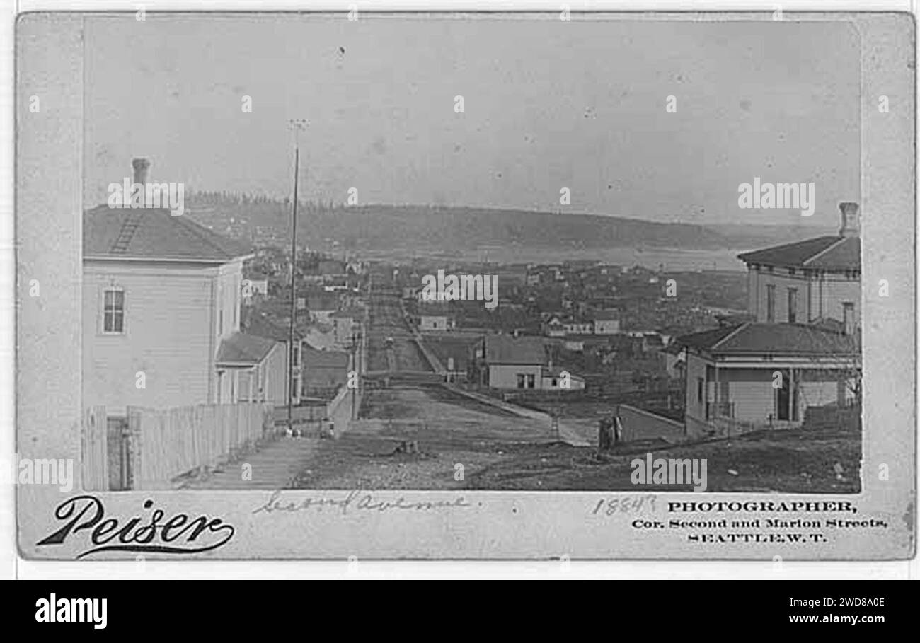 2nd Avenue looking southeast to Beacon Hill, Seattle, ca 1884 (PEISER 5 ...