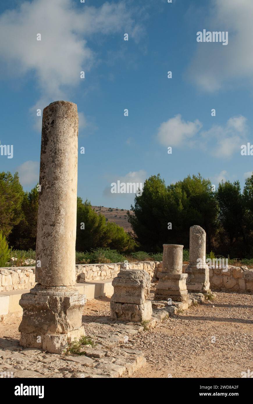 Archeological remains of the columns and walls of an ancient synagogue ...