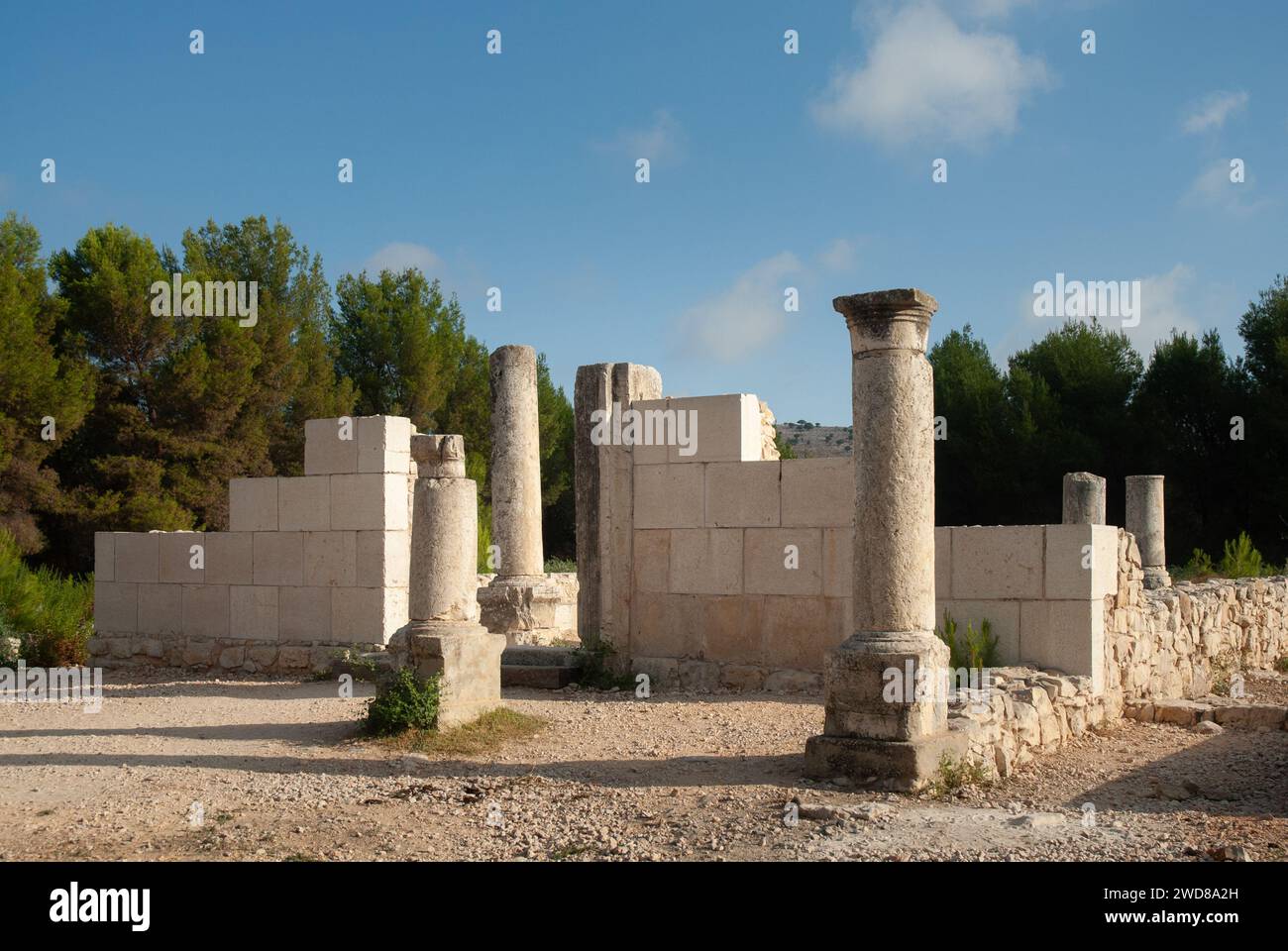 Archeological remains of the columns and walls of an ancient synagogue ...