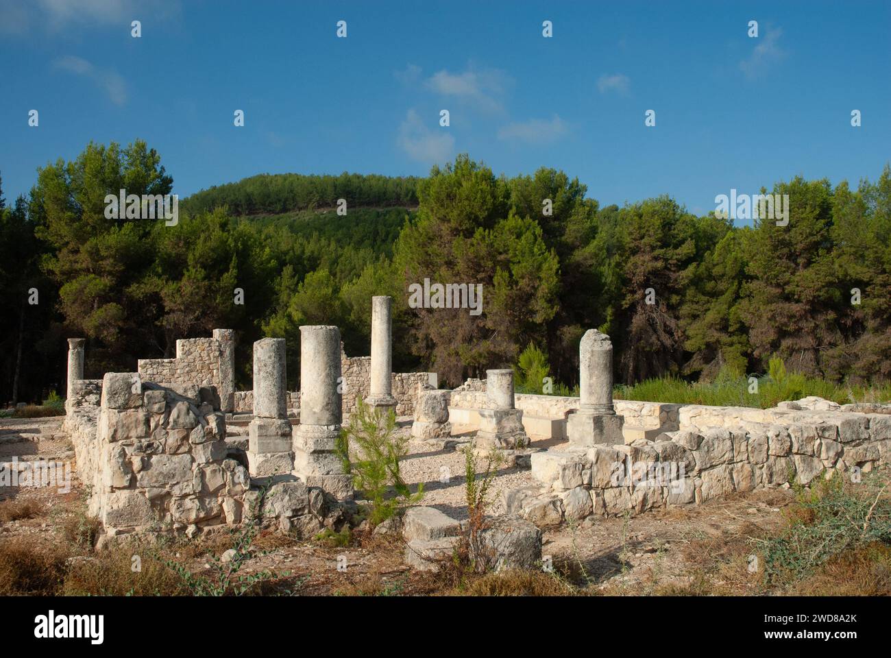 Archeological remains of the columns and walls of an ancient synagogue ...