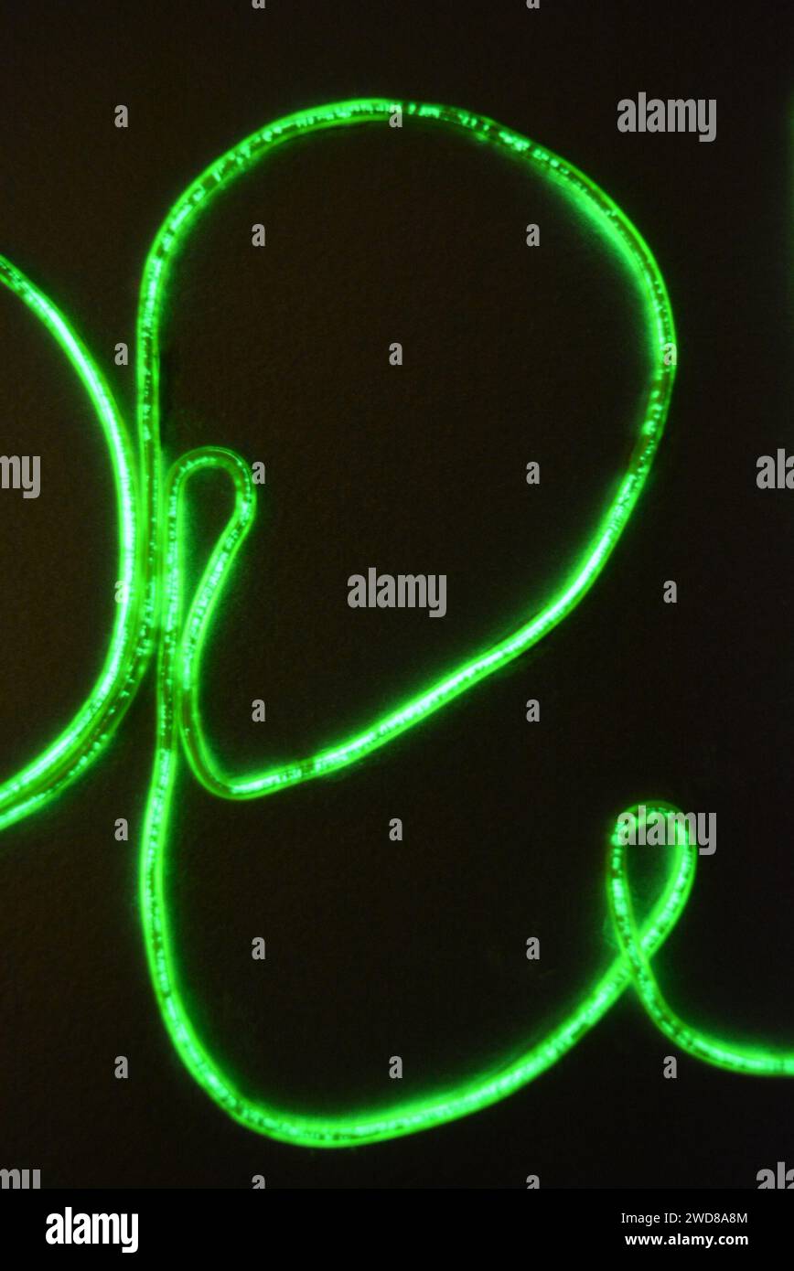 Toxic green lime lighting with specific pattern neon electroluminescent ...