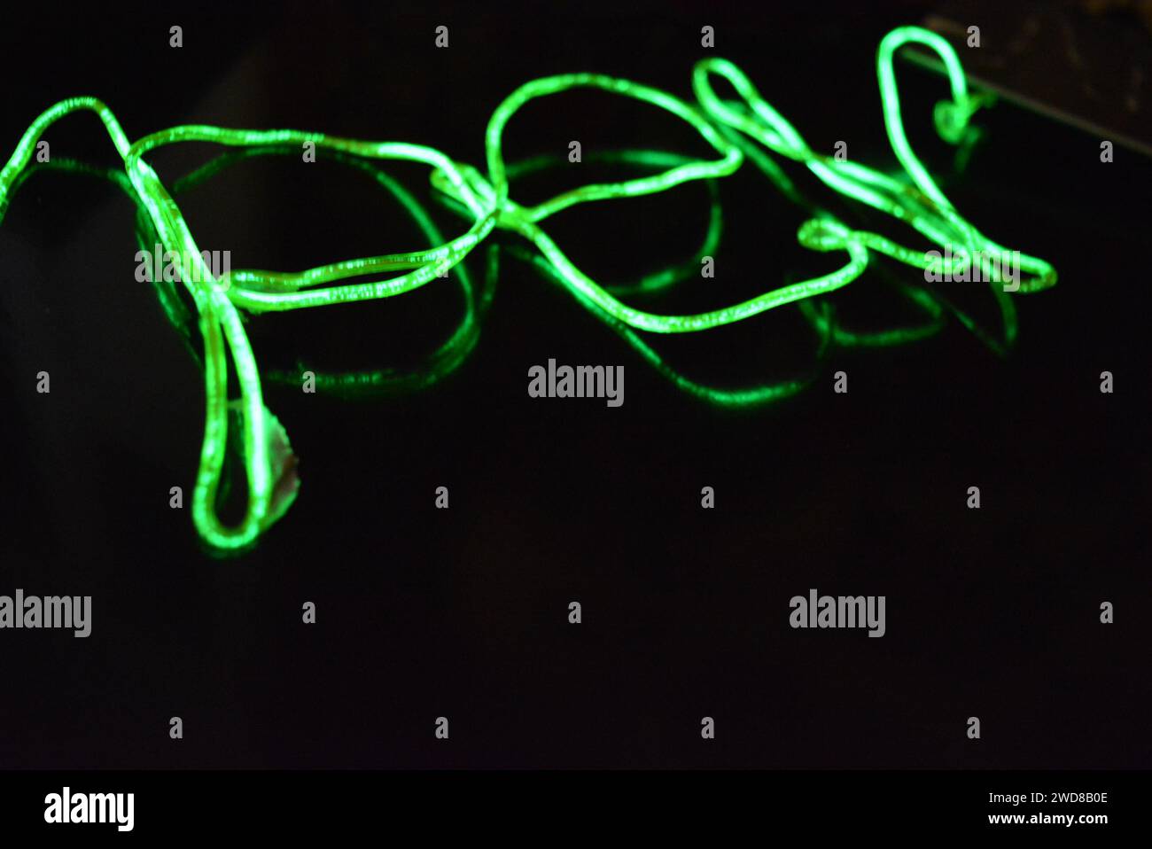 Toxic green lime lighting with specific pattern neon electroluminescent ...