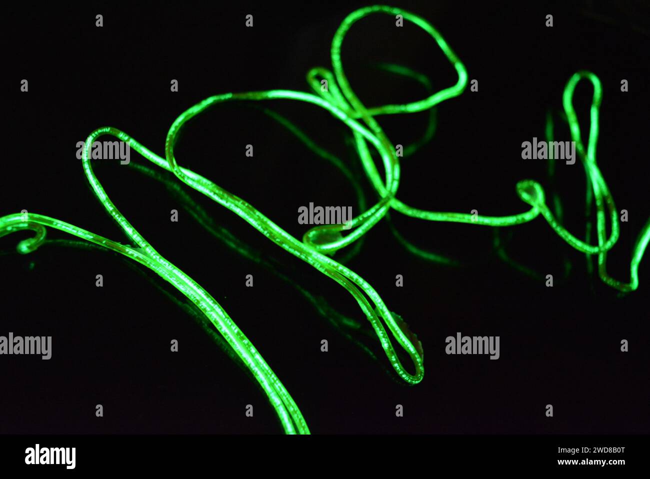 Toxic green lime lighting with specific pattern neon electroluminescent ...