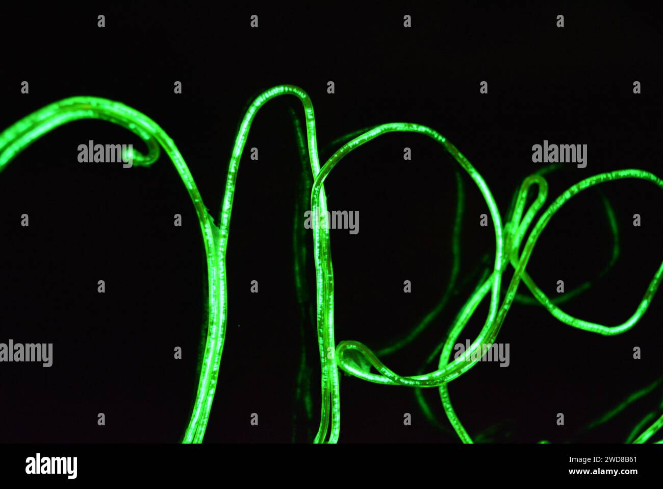 Toxic green lime lighting with specific pattern neon electroluminescent ...