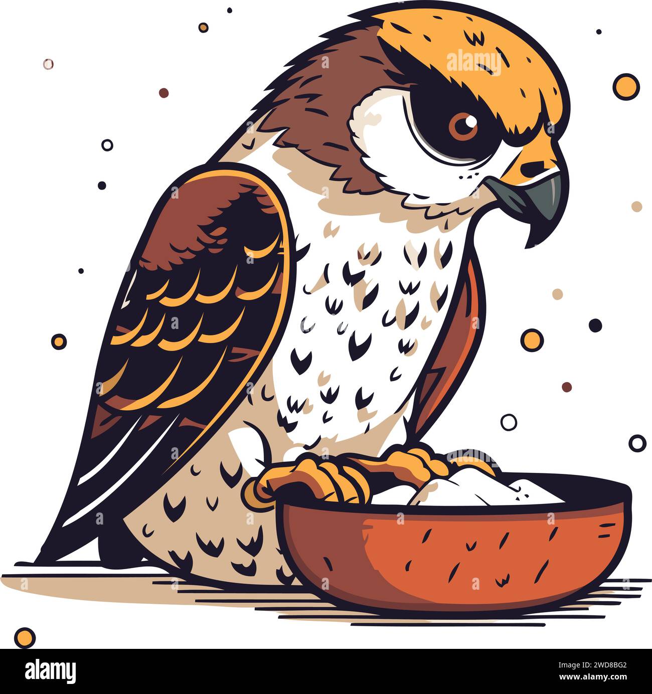 A hawk Stock Vector Images - Alamy