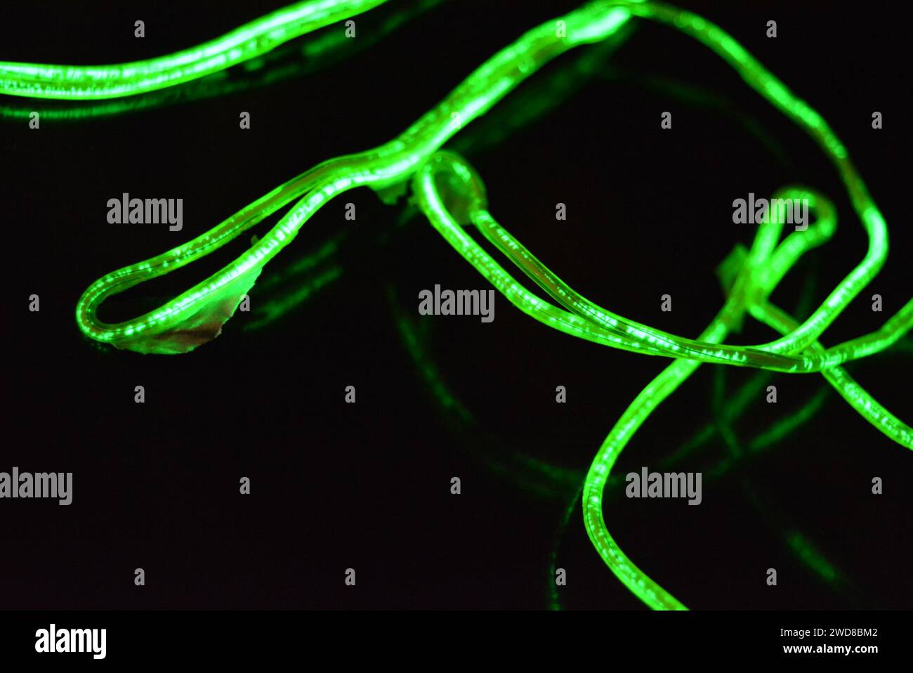 Toxic green lime lighting with specific pattern neon electroluminescent ...